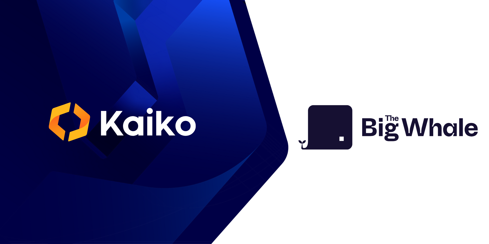Kaiko and The Big Whale Partner to Bring Clarity to the Future of ...